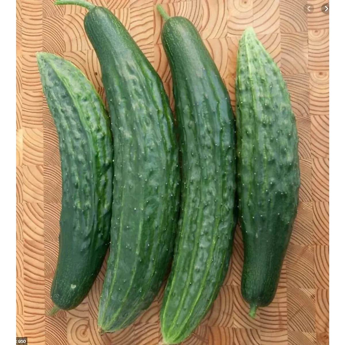 "Green Dragon" Cucumber Seeds for Planting, 50+ Heirloom Seeds Per Packet, (Isla's Garden Seeds), Non GMO Seeds, Botanical Name: Cucumis sativus, 90% Germination Rate