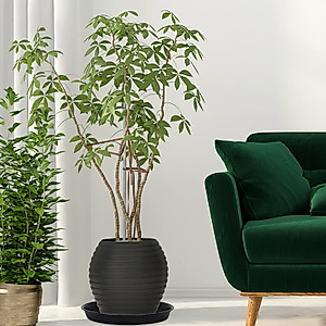 NABAOXUN 6Pack 8,10,12Inch Plastic Drip Trays Plant Saucers for Indoors Outdoor Plant, Thick Heavy Durable Sturdy Flower Pot Trays for Pots Planter, Black…