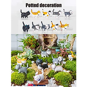 9 PCS Cute Miniature Cats Landscape Lovely Cats Figurines Fairy Home Garden Animals Kitten Adorable Cupcake Christmas Birthday Gift for Home Garden Decor Ornament Supplies