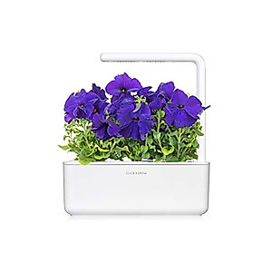 Click and Grow Smart Garden Blue Petunia Plant Pods, 3-Pack