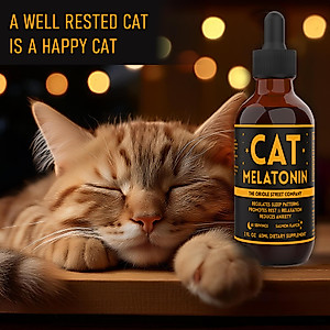 Cat Melatonin Drops 60ml Salmon Flavor, Melatonin for Cats to Sleep, Cat Calming Treats, Cat Calming Products, Cat Sleep Aid, Cat Anxiety Relief, Cat Travel Anxiety Relief for Cats