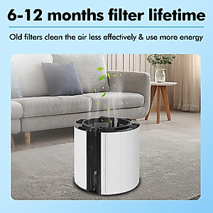 2-IN-1 Filter Replacement for Dyson PH01 HP07 HP10 TP07 TP10 TP09 HP09 HP06 TP06 Air Purifier 360 Combi Glass Pure Cool Hot Humidify Fan, 2-IN-1 Activated Carbon Filter and H13 True Hepa Filter