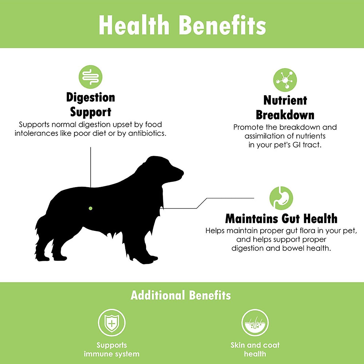 Proflora Probiotic for Dogs - Healthy Digestion - Boost Immune System - Normal Bowel Function - Skin and Coat Health - Supplement for GI Tract - 90 Servings, 3-Pack