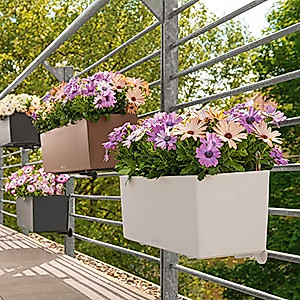 Lechuza 15680 Balconera Color 80 Garden Indoor and Outdoor Use, White Matte Self Watering Planter