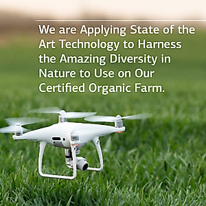 Standard Process Inc. Iodomere - Whole Food Metabolism and Thyroid Support with Echinacea Purpurea, Green Lipped Mussel, Organic Carrot, Organic Sweet Potato, and Iodine - 90 Tablets