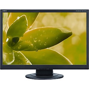 NEC AccuSync AS192WM-BK 19-Inch Screen LCD Monitor