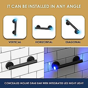 evekare 24 Inch Innovative Grab Bars for Bathtubs and Showers | with Integrated LED Night Light | Grab Bars for Elderly and Disabled | 1.25 Inch Diameter Stainless Steel in Matte Black