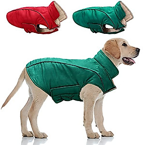 2 Pieces Dog Cold Weather Coats, Waterproof Windproof Reversible Winter Dog Jacket Clothes Zippered Dog Winter Coat Padded Warm Pets Reflective Winter Vest for Small Medium Large Dogs Pets, Green, Red