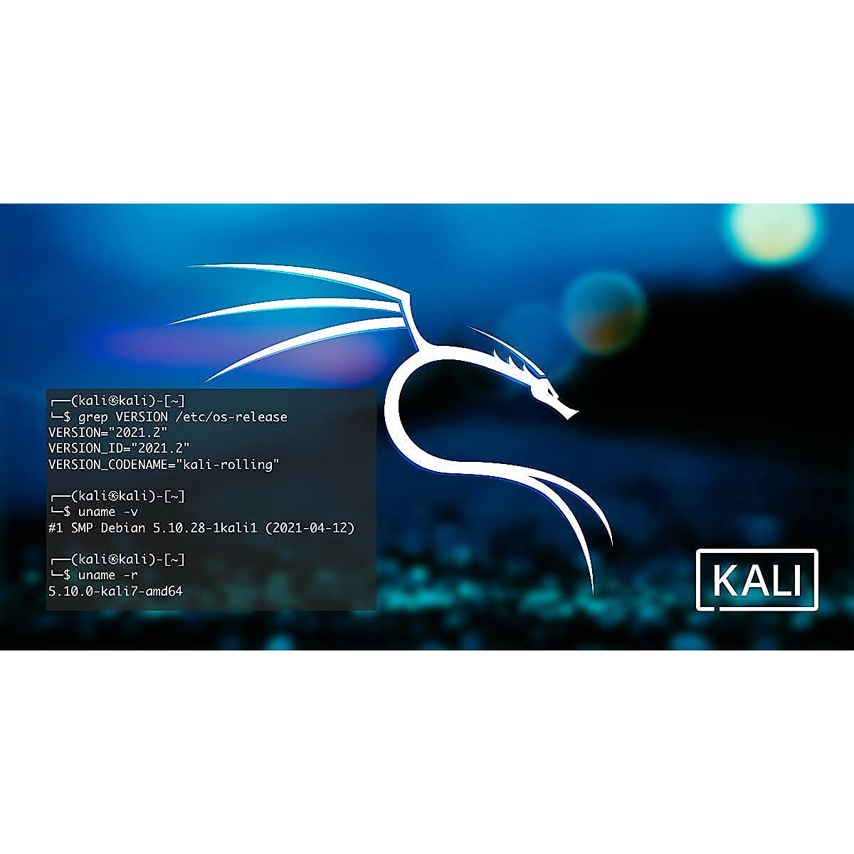 CyberEZQ USB for Kali Linux 2022.4 Live Repair Recovery Install Restore 32GB USB Flash Drive with Persistence 64 Bit - Newest Version Penetration Testing Operating System