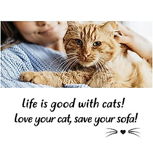 Sofisti - Cat Scratch Deterrent Tape for Furniture – 10 Double Sided Anti Scratching Sticky Tape - Cat Scratch Furniture Protector – Cat Training Tape Teaches Your Kitty Not to Scratch Your Couch