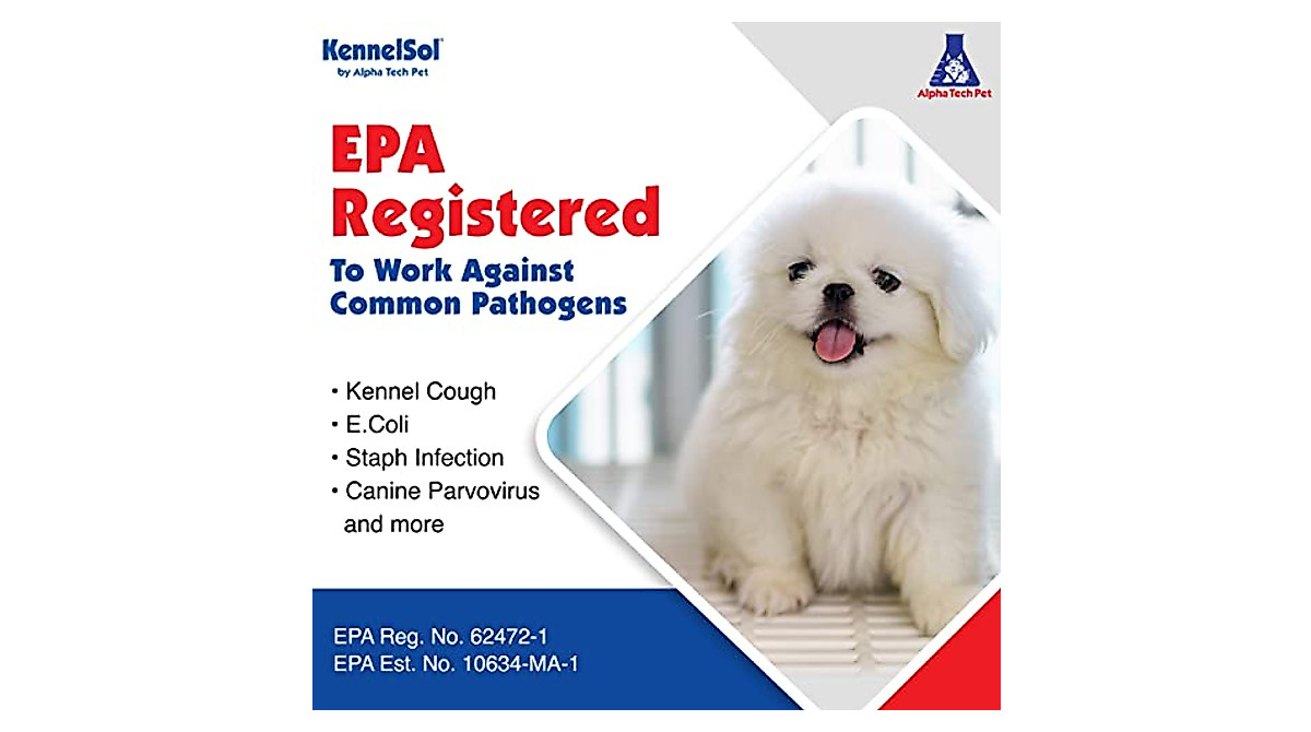 KennelSol 1-Step Kennel Cleaner - Liquid Concentrate Disinfectant and ...