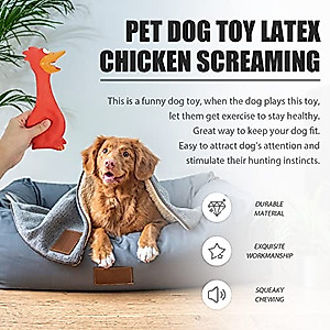 ibasenice Ferret Toys Chihuahua Accessories Rubber Chicken Squeaky Dog Toys Chewing Toy Chicken Shaped Dog Toy Household Sounding Toy Dog Supply Ferret Accessories Pet Toys