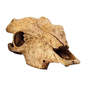 Exo Terra Terrarium Decor Buffalo Skull