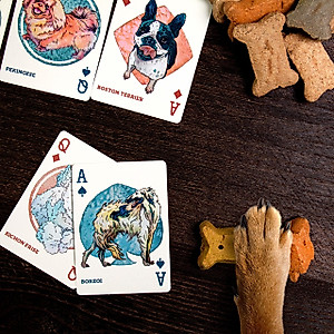 Dogs & Puppies Playing Cards - 100+ Dog & Puppy Illustrations, Two Decks of Assorted Breeds - Pictures of Pets for Animal Lovers - Family Games, Hobbies, & Collections - Cute Pet Themed Collectibles
