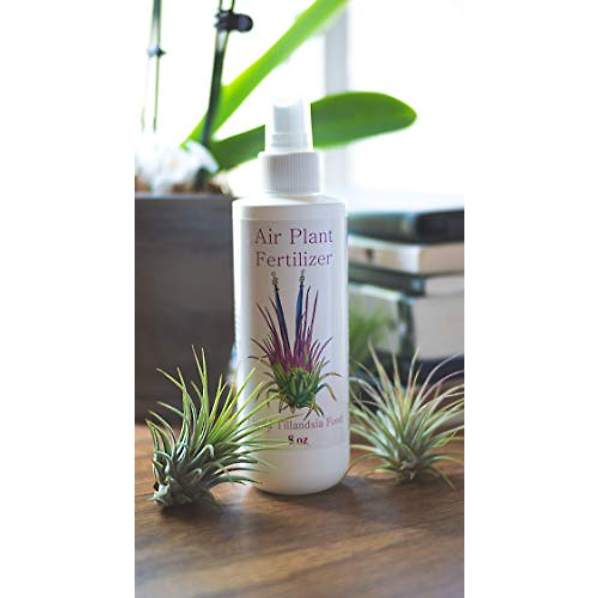 Tillandsia Air Plant Food | Fertilizer Kit with Spray Bottle and Mister | Encourages Air Plants to Bloom with Formulated Nutrients by Aquatic Arts