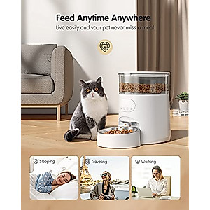 Faroro Automatic Cat Feeders, 4L Cat Dry Food Dispenser, Automatic Pet Feeders for Cats and Dogs with Portion Control, Schedule 1-6 Meals per Day, 10s Customized Voice Recording, Dual-Power Supply