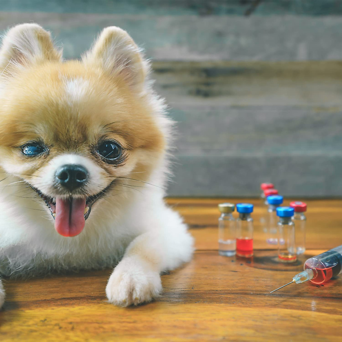 20 Pack 10ml Industrial Sterile Syringes with 18Ga 1.5 Inch, Plastic Disposable Syringe for Scientific Labs, Liquids Refilling and Measuring