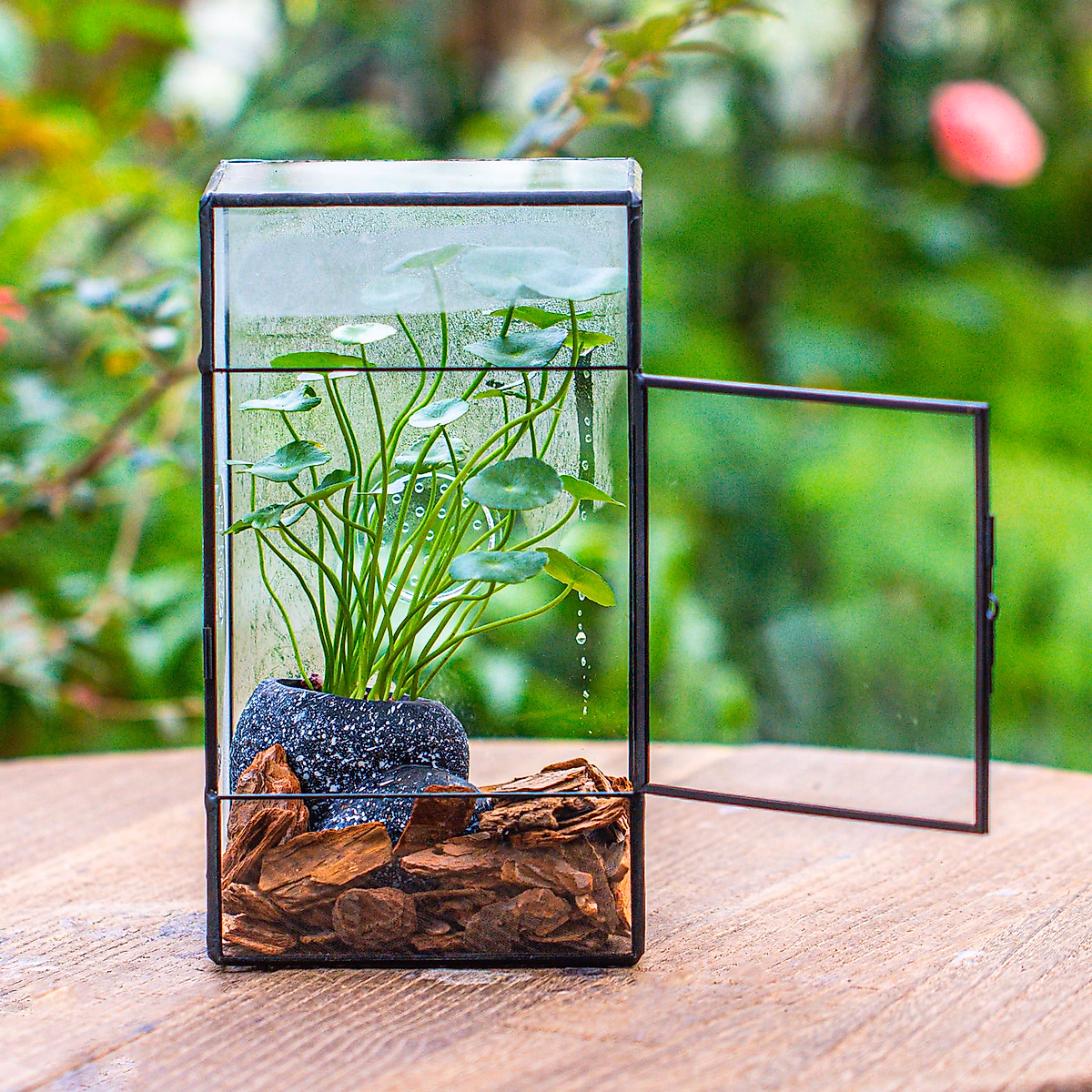 NCYP Small Glass Terrarium with 3 Vent Holes for Large Jumping Spider - 5.1" x 3.9" x 9" - Front Opening Door Insects Enclosure Habitat, Rectangle Black - Holes Diameter 0.12" (Terrarium Only)