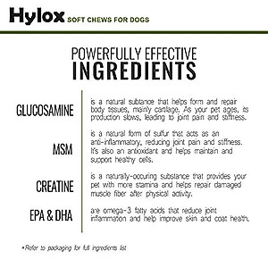 Pet Health Solutions Hylox Soft Chews for Dogs - Supports Joints & Cushions Connective Tissues - Glucosamine - Alpha Linolenic Acid - Creatine -120 Soft Chews