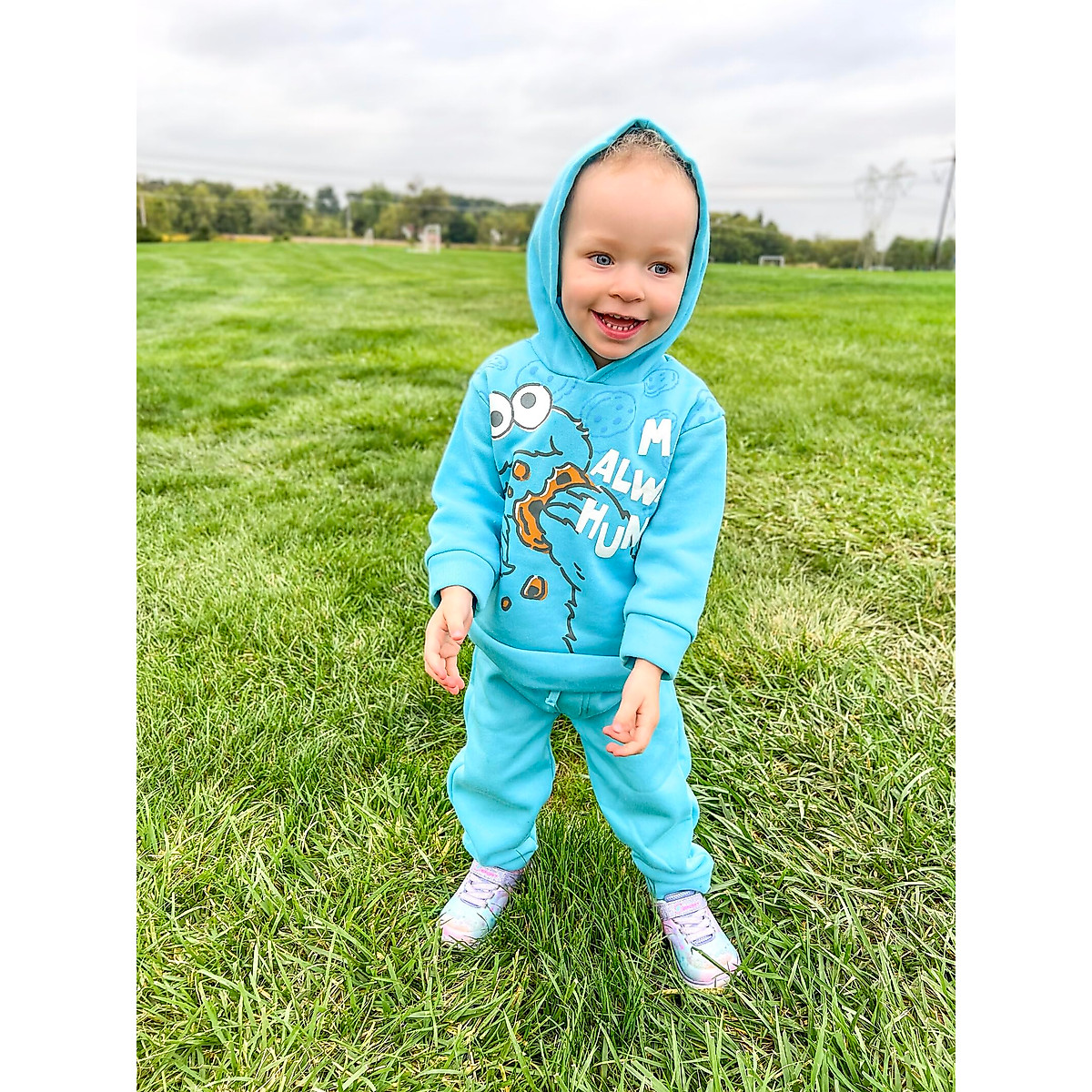 Sesame Street Cookie Monster Infant Baby Boys Fleece Pullover Hoodie and Pants Outfit Set Blue 24 Months