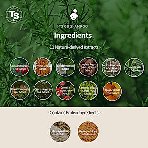 TS GD Shampoo for Dandruff & Itchy Scalp (13.5 Oz) Youth & Teen Shampoo | Treatment for Adolescents | Allergen free | Silicone,SLS,SLES Free | Korean Shampoo