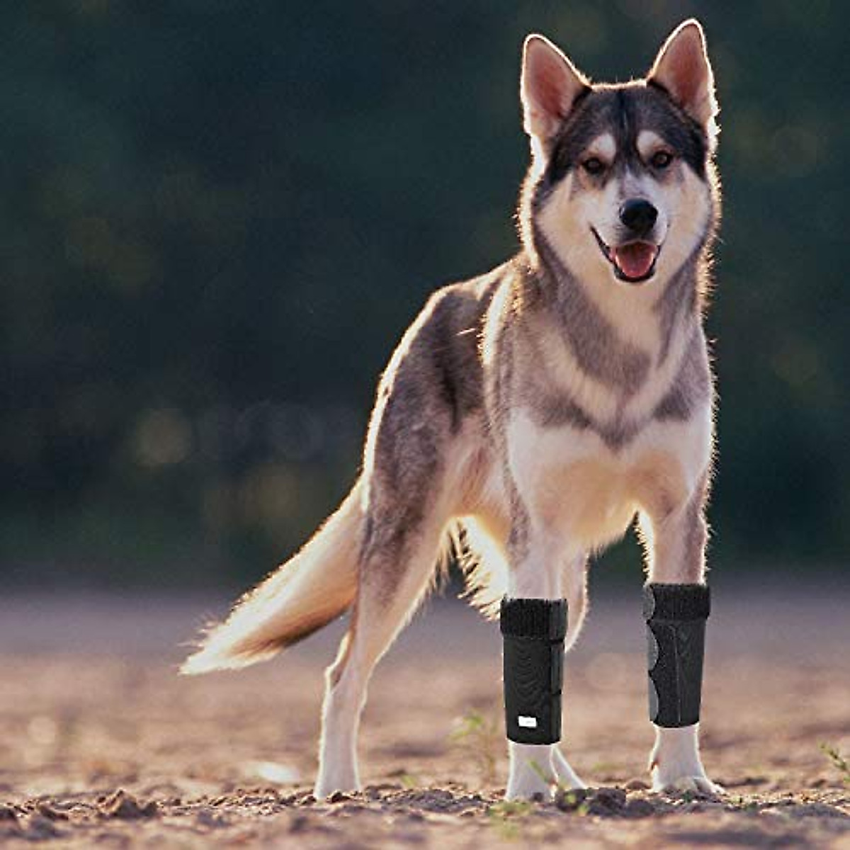 IN HAND Dog Leg Brace, Pair of Dog Canine Leg Wrap Front Leg Compression Brace with Metal Strips & Safety Reflective Straps, Protects Wounds Brace Heals and Prevents Injuries and Sprains