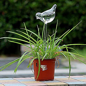 Durable glass Bird Design Watering globes - 3 pack Gift for gardeners, Her or Mom with 3 Water Bulbs, a Funnel + 3 spikes against dirt for Indoor Plants / Watering Bulbs, Water Globes, Home Decoration