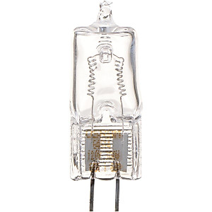 American DJ ZB-64514 300W Light Bulb