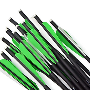 MILAEM 16/17/18/20/22 Inch 12 Pack Carbon Crossbow Bolts Hunting Practice Crossbow Arrows with Moon Nocks and 100 Grain Removable Tips (Green, 16 Inch)