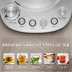 BUYDEEM K176 Tea Maker, Multifunctional Stainless Steel Electric Kettle for Tea and Coffee Brewing, Auto Keep Warm, German Schott Glass, 1.5L