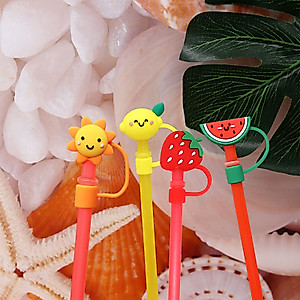 Yanmucy 9 Pieces Straw Cover Cute Reusable Silicone Straw Topper Fruit Plant Animals Dust-proof Straw Plugs for 6-8 mm Drinking Straws (1)