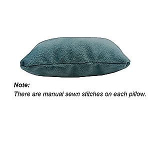 RIOUSSI Set of 4 Cozy Mini Pet Pillows for Guinea Pig Hedgehog Ferret Chinchilla Bunny