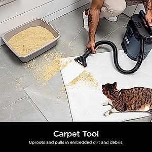 Shark VS101 MessMaster Portable Wet Dry Vacuum, Small Shop Vac, 1 Gallon Capacity, Corded, Perfect for Pets & Cars, AnyBag Tech, Self-Cleaning, Ultra-Powerful Suction for Tough Wet & Dry Messes, Blue