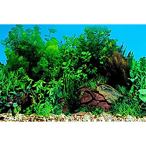 ELEBOX New 20" x 48" Fish Tank Background Stickers Wallpaper 2 Sided Seaweed Water Plants Aquarium Background Decoration