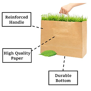 Premium 10x5x13 Paper Bags with Handles - Pack of 100, Kraft Paper Bags Ideal for Shopping, Wedding, Business, Retail, Craft, Gifts & More - Durable, 100% Recyclable Brown Quality Bags