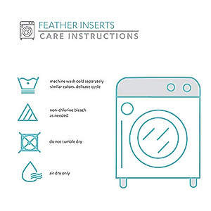 Lush Decor Feather Down in Cotton Cover Decor Pillow Insert, 14" x 21", White