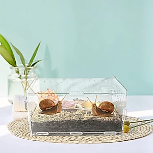 Magnetic Acrylic Reptile Cage,Transparent Enclosure Reptile Breeding Box,Breeding Box Terrarium Tank Suitable for Tarantulas,Lizards,Chameleons,Hermit Crabs,Snakes,Insect,Turtle（8x5x4 Inch）