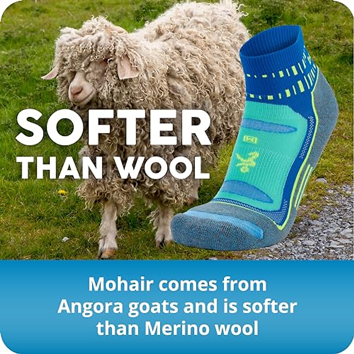 Balega Blister Resist Performance No Show Athletic Running Socks for Men and Women (1 Pair), White/Grey, Large