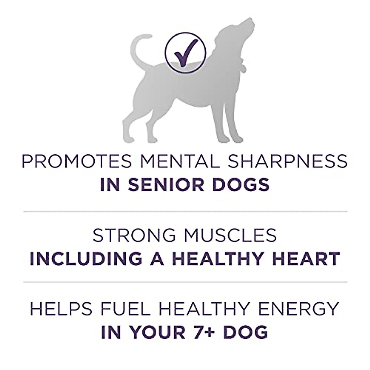 Purina ONE High Protein Dry Senior Dog Food Plus Vibrant Maturity Adult 7 Plus Formula - 31.1 lb. Bag