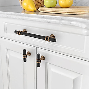 Asidrama 10 Pack Champagne Bronze and Matte Black Kitchen Cabinet Knobs Cabinet Hardware Zinc Knobs for Dresser Drawers