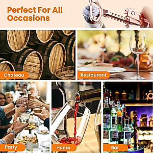 Wine Bottle Opener Wing Corkscrew, Godmorn Rose Gold Beer Bottle Opener with Wine Pourer, Cute Stainless Steel Winged Corkscrew, Pink Cork Screw Wine Accessories For Kitchen Bars Mothers Day Gift