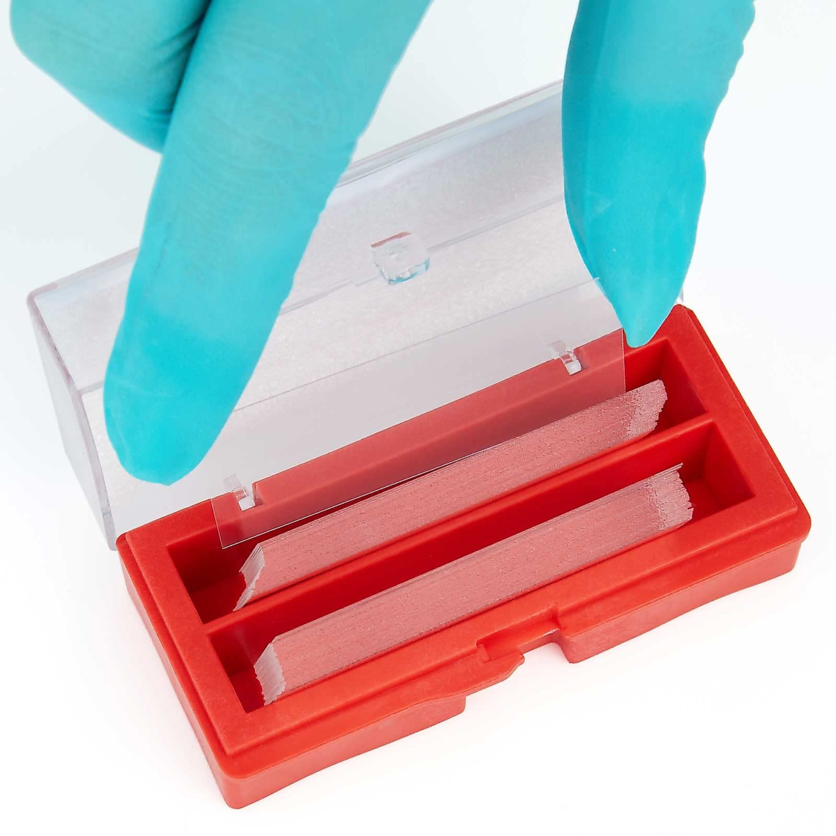 Globe Scientific 1415-10 Cover Glass, 24 x 50mm, No. 1 Thickness (Case of 10)