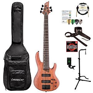 ESP LB1005SEBNS-KIT-1 B Series B-1005SE 5-String Electric Bass Guitar, Natural Satin