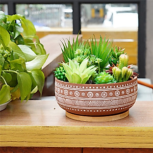 Thirtypot 8 Inch Terracotta Succulent Planter Pot with Drainage Hole and Bamboo Tray, Round Shallow Bonsai Pot for Indoor Plants