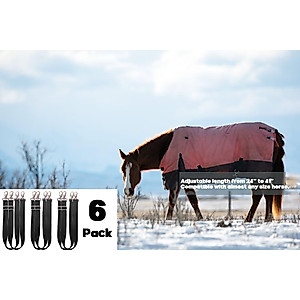 Pack of 6 Adjustable Length Elastic Leg Straps for Horse Blankets,Horse Blanket Sheet Replacement Elastic Leg Strap (6, Black)