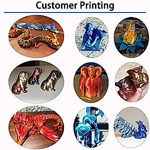 3D Printer Filament Bundle, PLA Filament Silk Shiny PLA Filament 1.75mm +/- 0.02mm, 3D Printing Filament 200g x 4 Spools