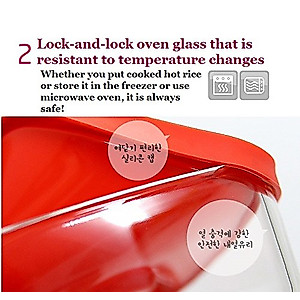 Lock&Lock Oven GLass Cooked Rice Storage Container for Freezer Set of 3