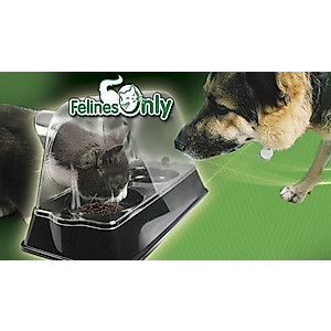 Felines Only - the Purrrfect Cat Dish - Veterinarian Designed Cat Feeding Bowl that Keeps Dogs Out of the Cat Food