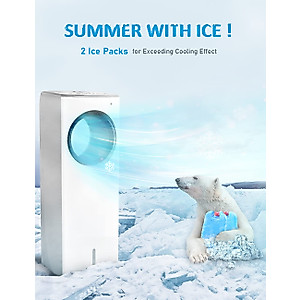 BREEZEWELL 3-IN-1 Windowless Portable Air Conditioner, 32-INCH Evaporative Cooler for Home, 3 Wind Speed & 4 Modes,Washable Water Tank, 8H Timer,20ft Remote Bladeless Evaporative Air Cooler for Room