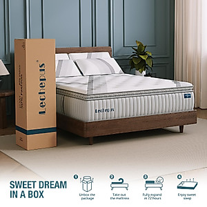 Lechepus Queen Mattress, 12Inch Gel Memory Foam Hybrid Mattress with 7-Zone Individual Pocket Springs Mattress, Queen Size Medium Feel Mattress Bed in Box, Cooler Sleep & Pressure Relief